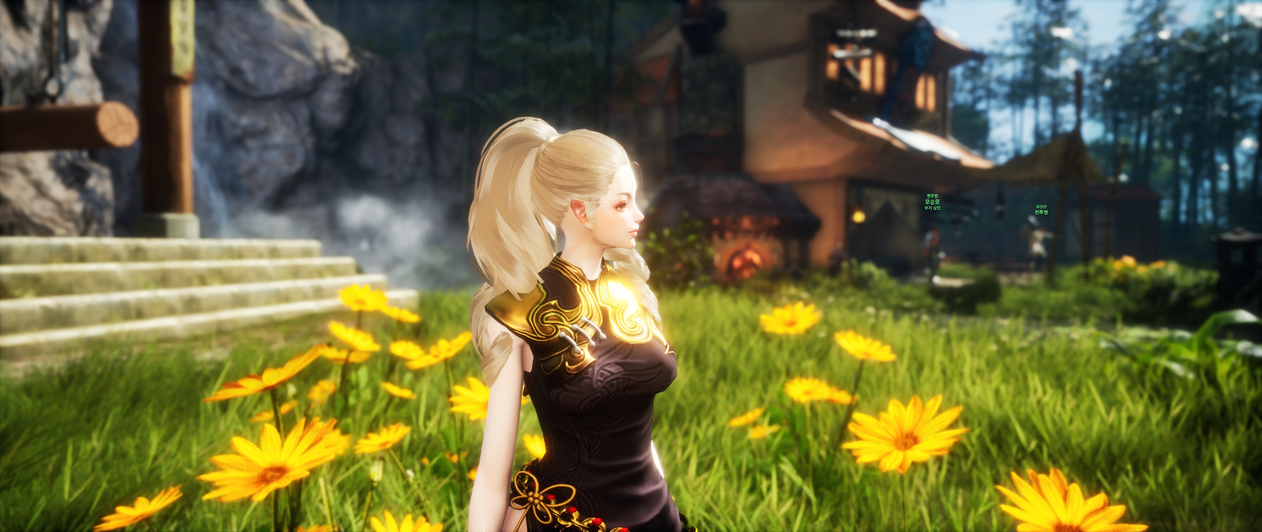 건족 커마 : 블레이드 & 소울-NCSOFT