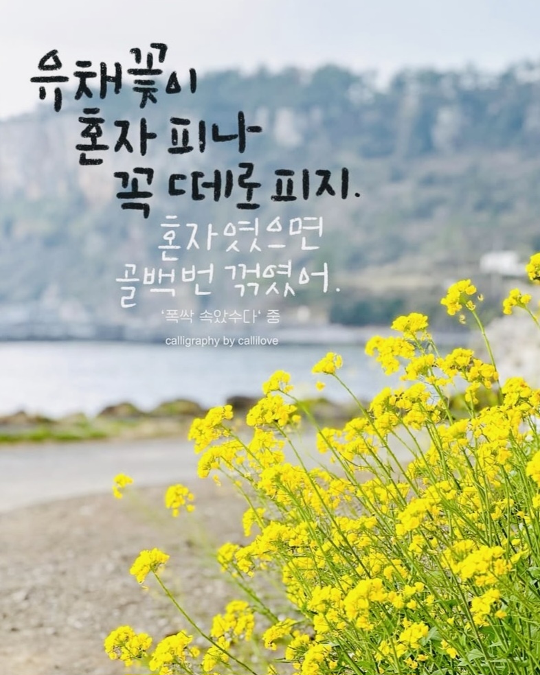 장비 다팔았다 형들 안녕. : 리니지-NCSOFT