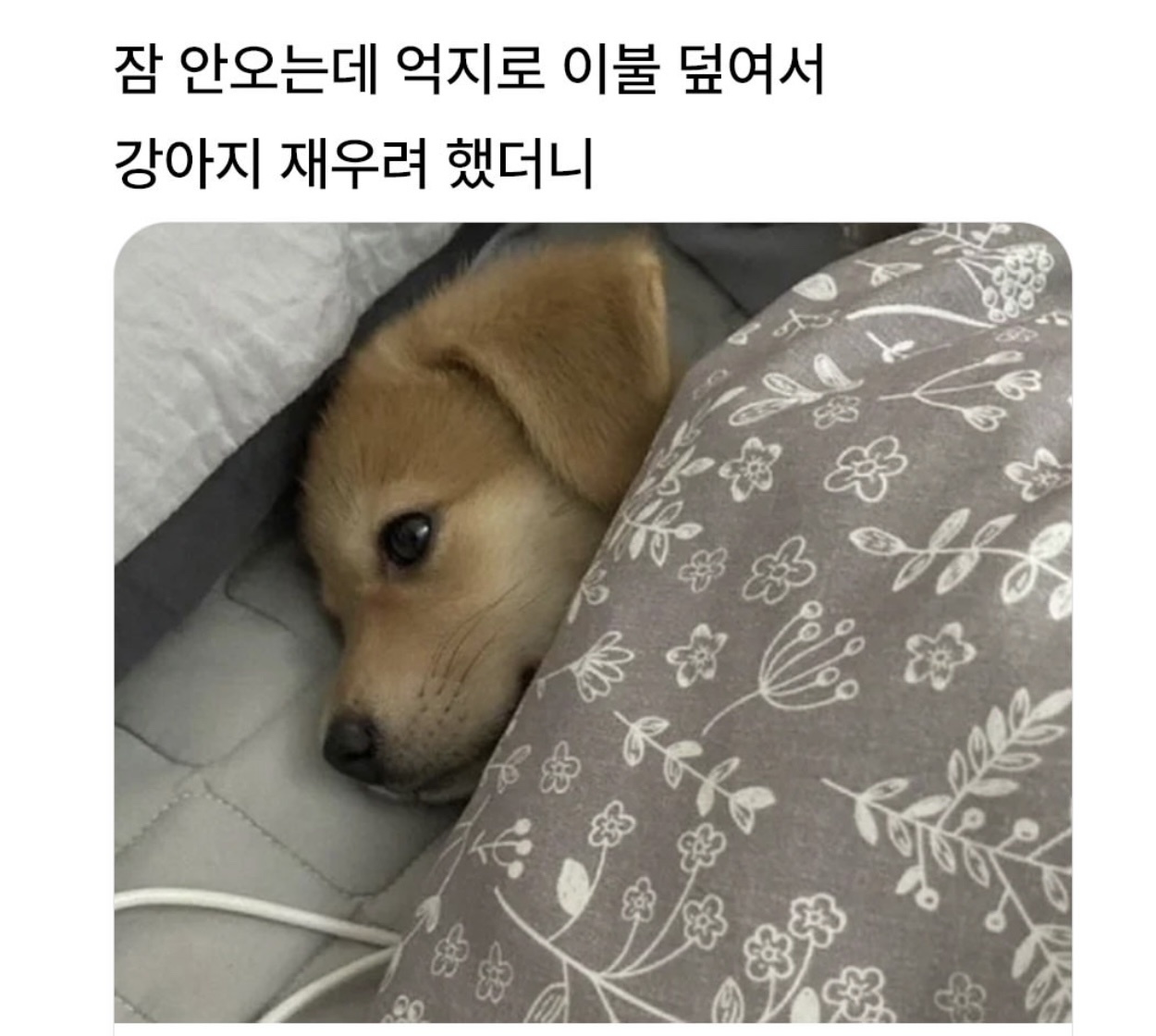 유저들 대부분이 고사양 PC를 사용합니다. 그래픽을 3D로 올려도 될것 같습니다. : 리니지-NCSOFT