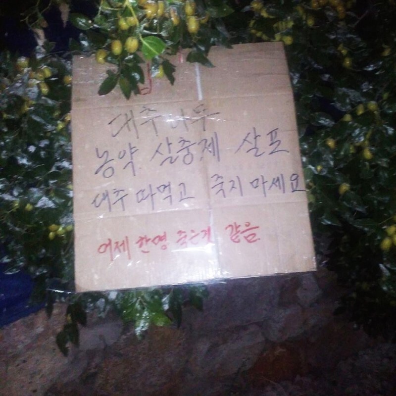 청사코인 왜14개뿐이 안들어오냐? : 리니지-NCSOFT