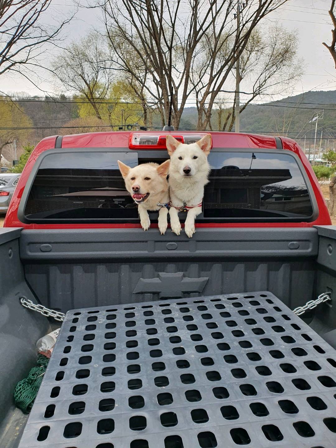 음 우리 두아들.~~ : 리니지M-NCSOFT