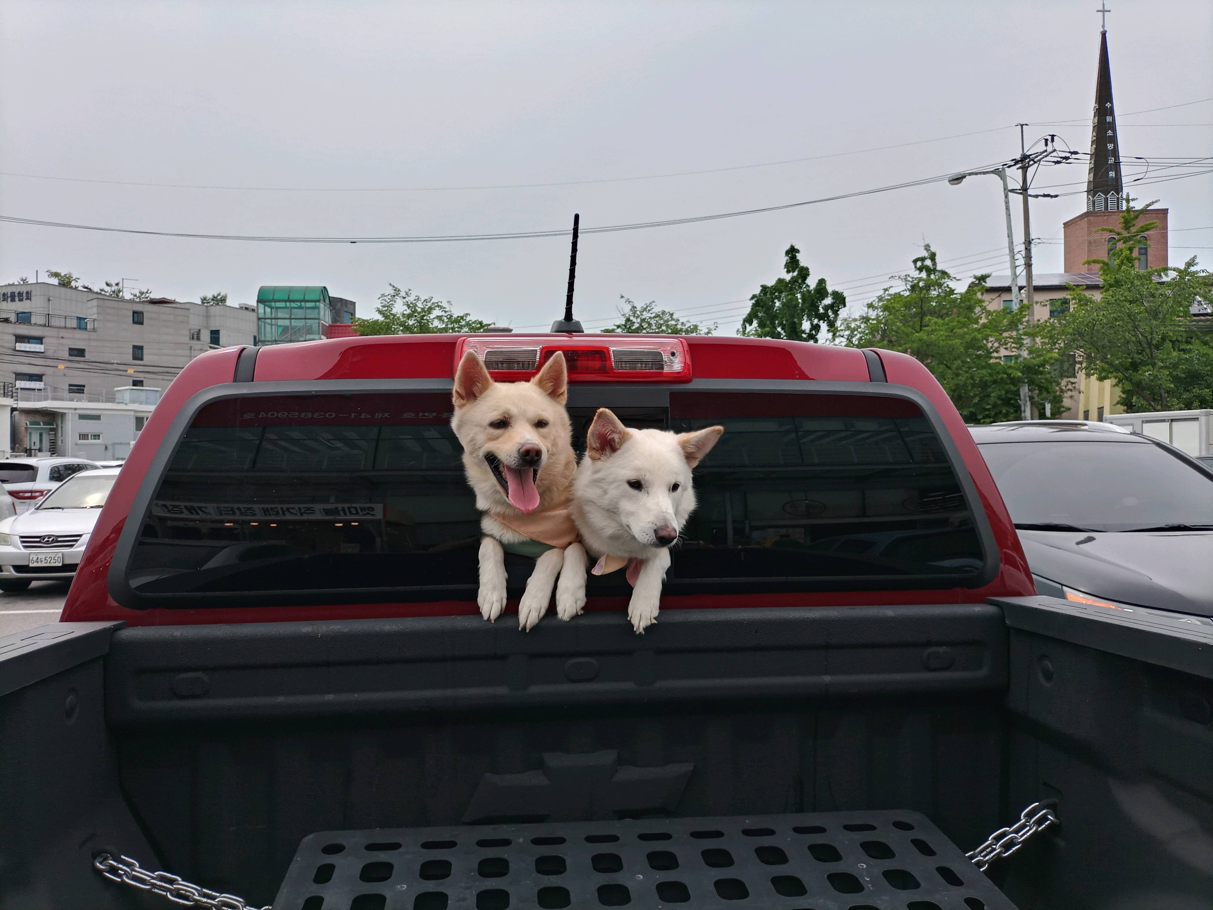 음 우리 두아들.~~ : 리니지M-NCSOFT