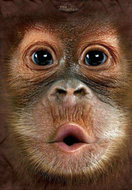 오빠 안녕하세요 신서버 윈다우드01화이팅 : 리니지M-NCSOFT