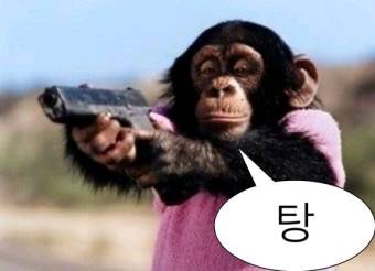 오빠 신서버 군주 나를 스카웃해라 클라스 춍쏴 : 리니지M-NCSOFT