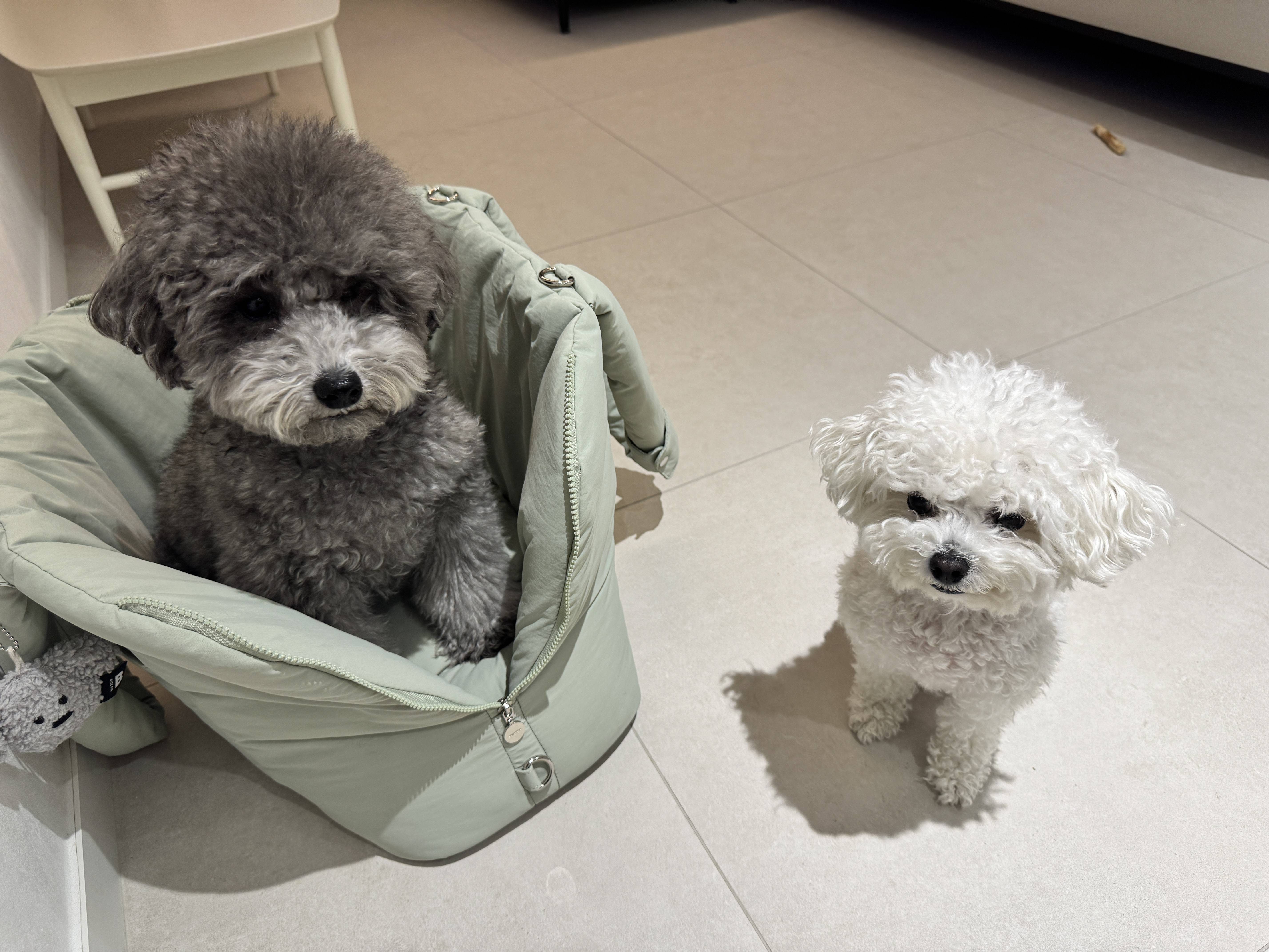 기여웡 : 리니지M-NCSOFT