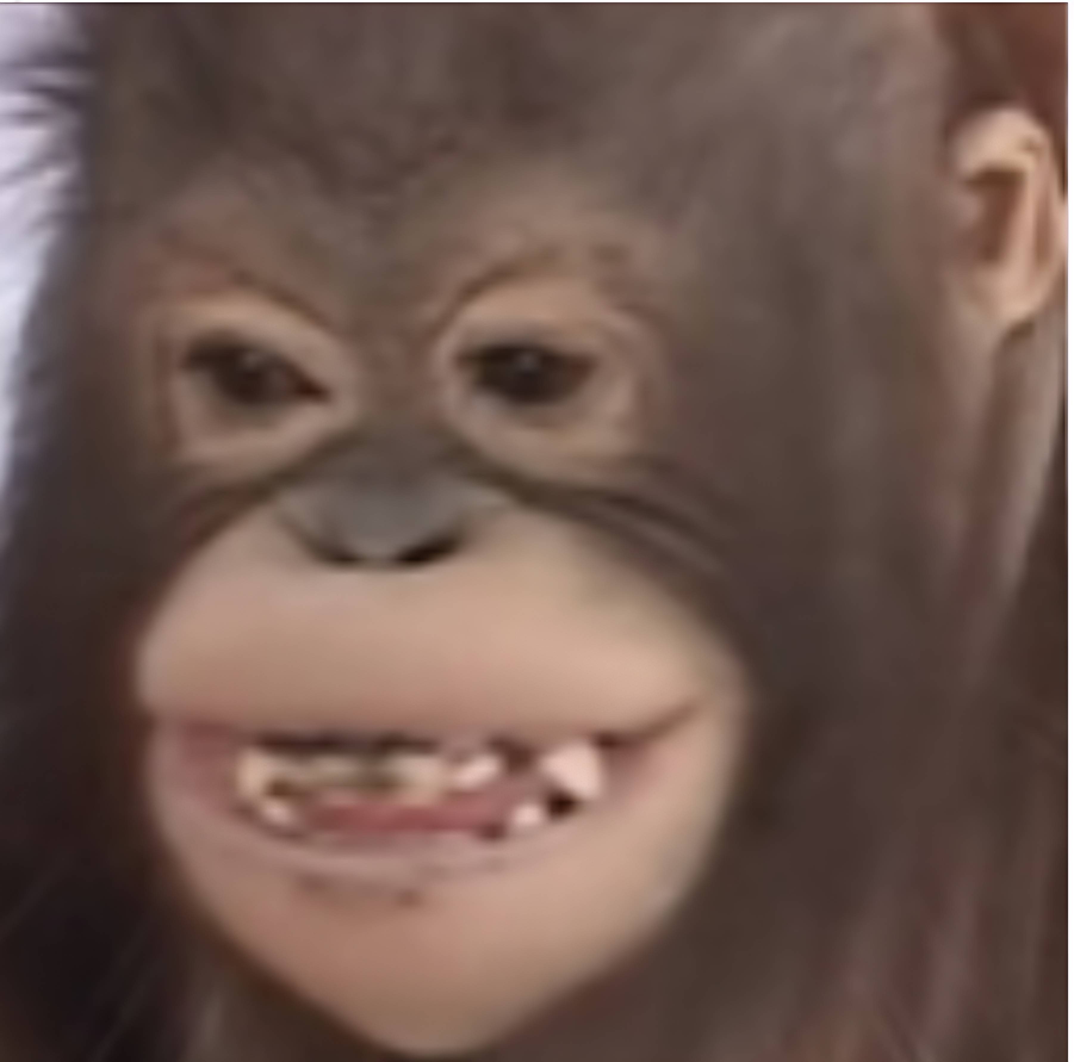 오빠 안녕하세요 : 리니지M-NCSOFT