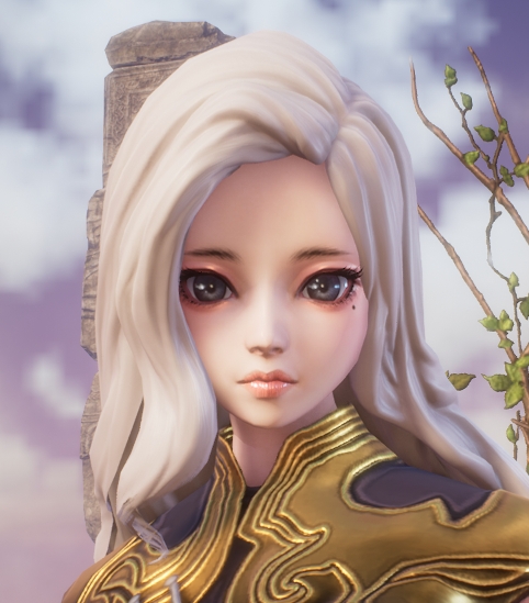 2차 외형 변경 : 블레이드 & 소울-NCSOFT