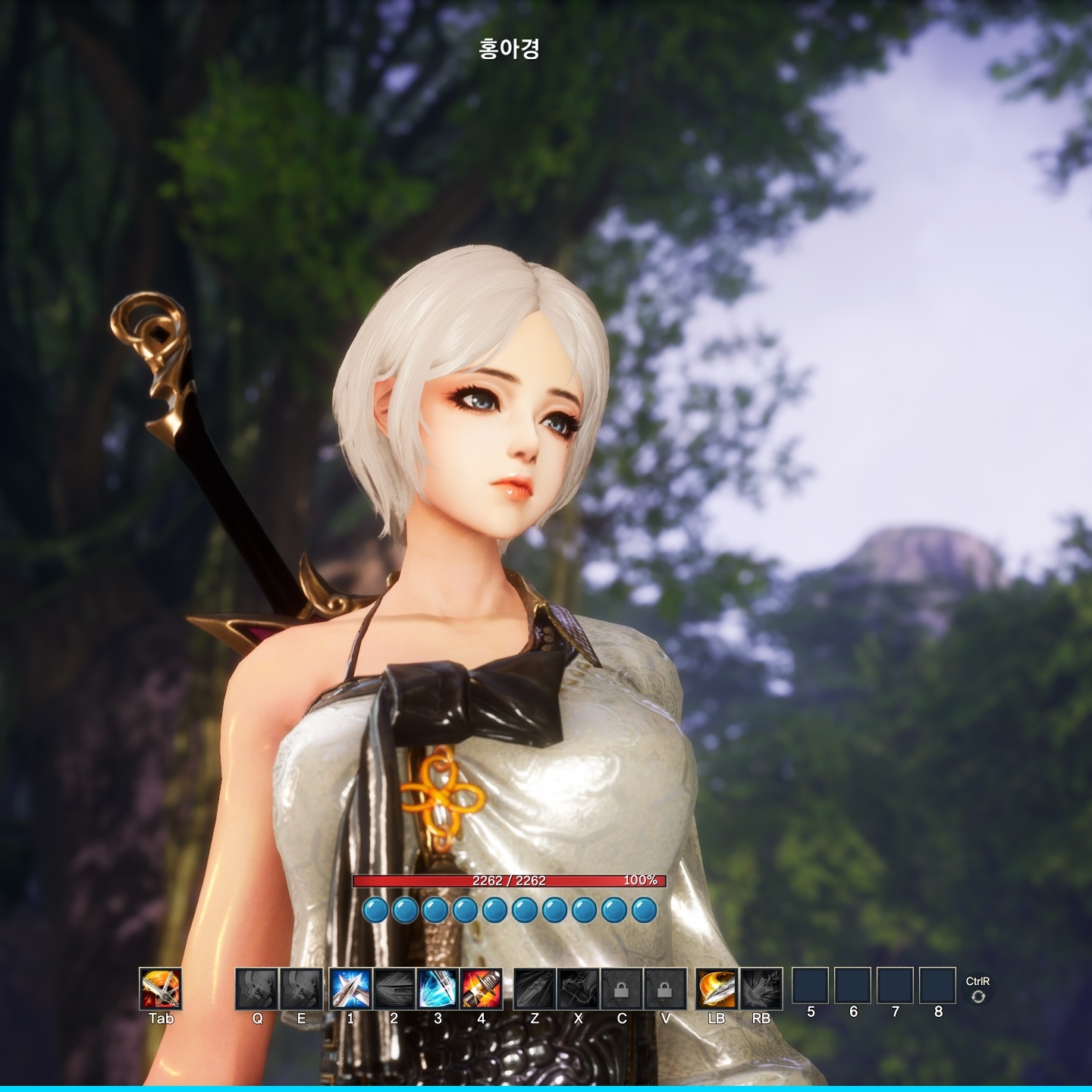 진녀 검사 커마 어떤가요? : 블레이드 & 소울-NCSOFT