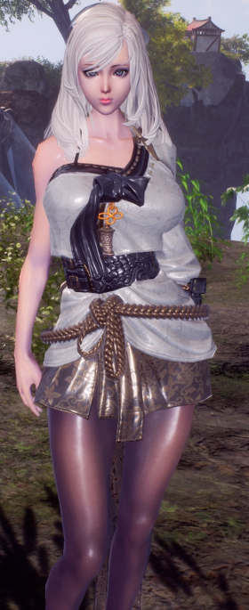 곤 녀 커마 완성 : 블레이드 & 소울-NCSOFT