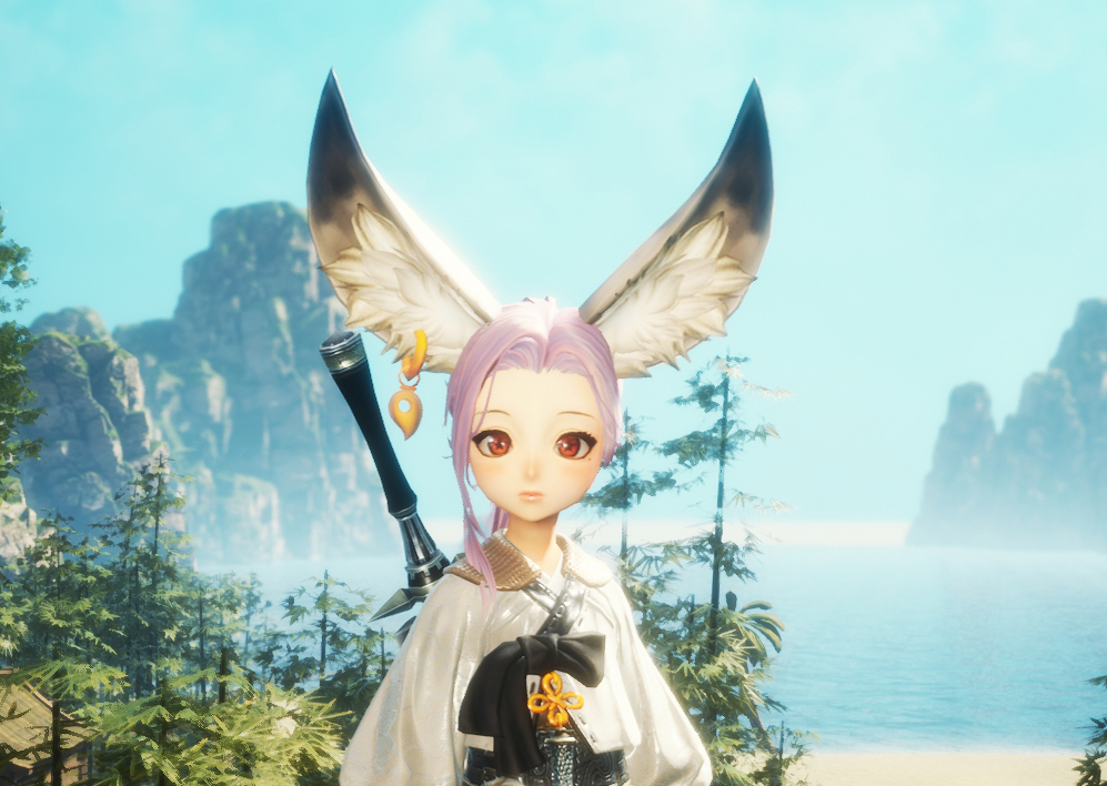 린남 : 블레이드 & 소울-NCSOFT