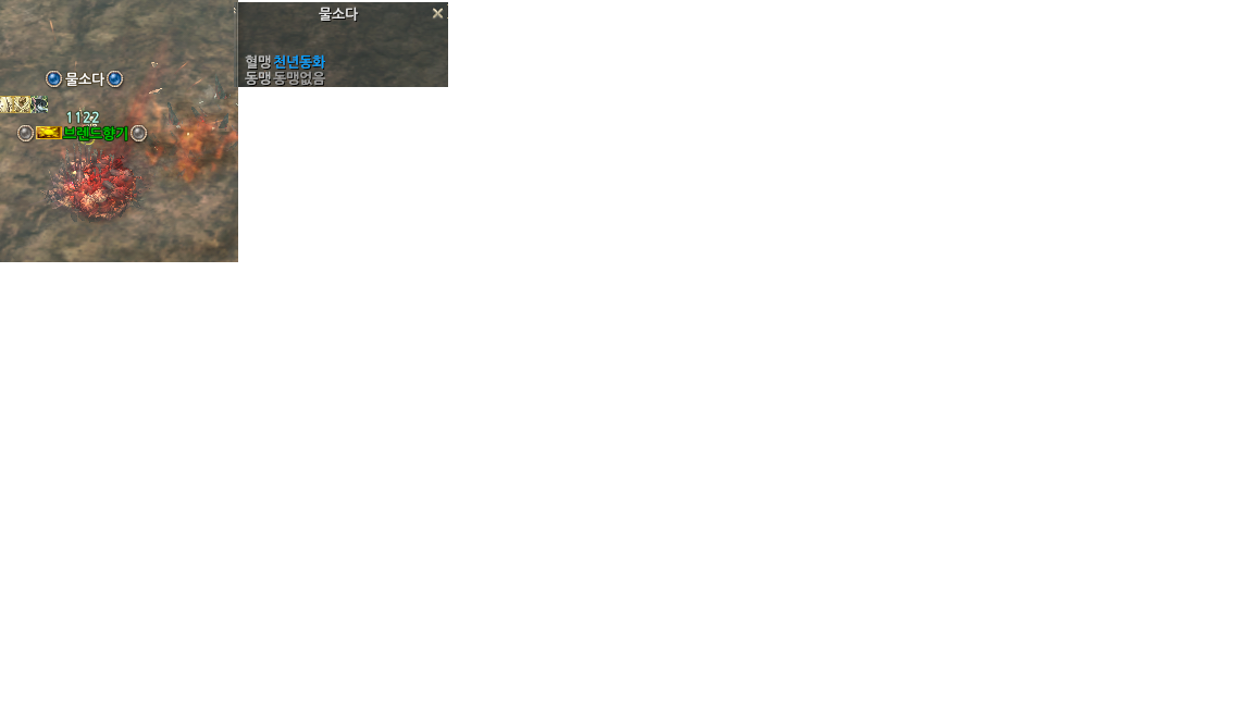 성자의계곡에서 우연히 발견된 케릭 : 리니지2-NCSOFT