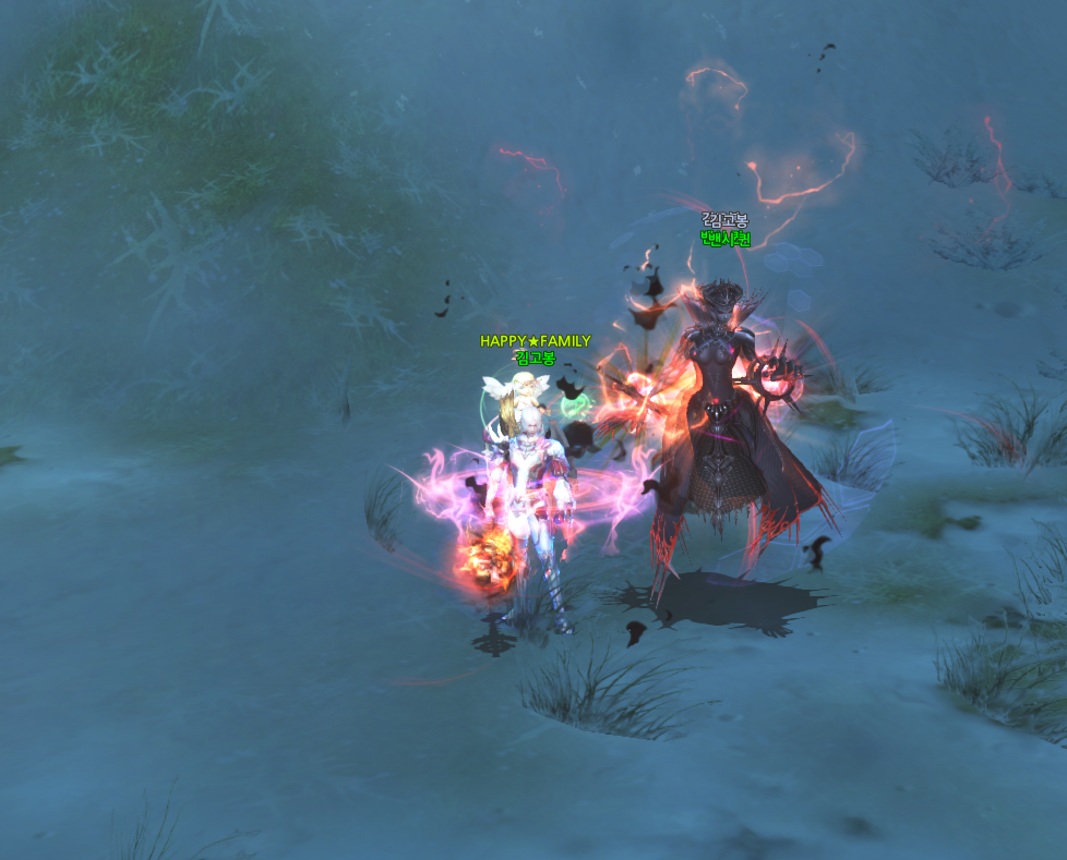 11/8일 블랙마일리지 2차 적립 완료 : 리니지2-NCSOFT