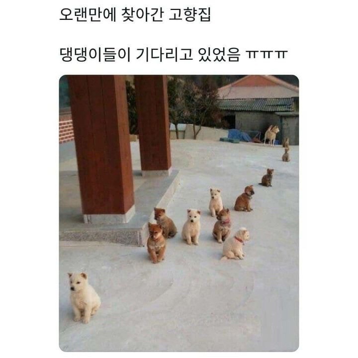 오랜만에 복귀했는데 국민레벨 몇인가요? : 리니지-NCSOFT