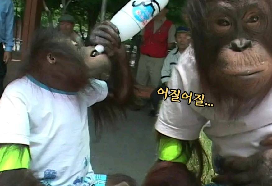 오빠 신서버 오늘 나와요 한잔하고 20시에 칼 접속 : 리니지M-NCSOFT