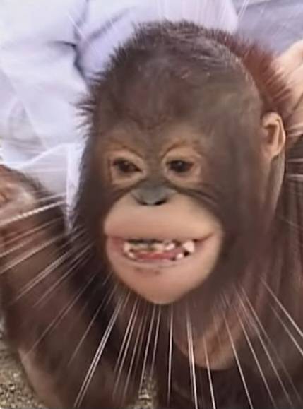 윈디우드01축서버 천안실전깡패 : 리니지M-NCSOFT