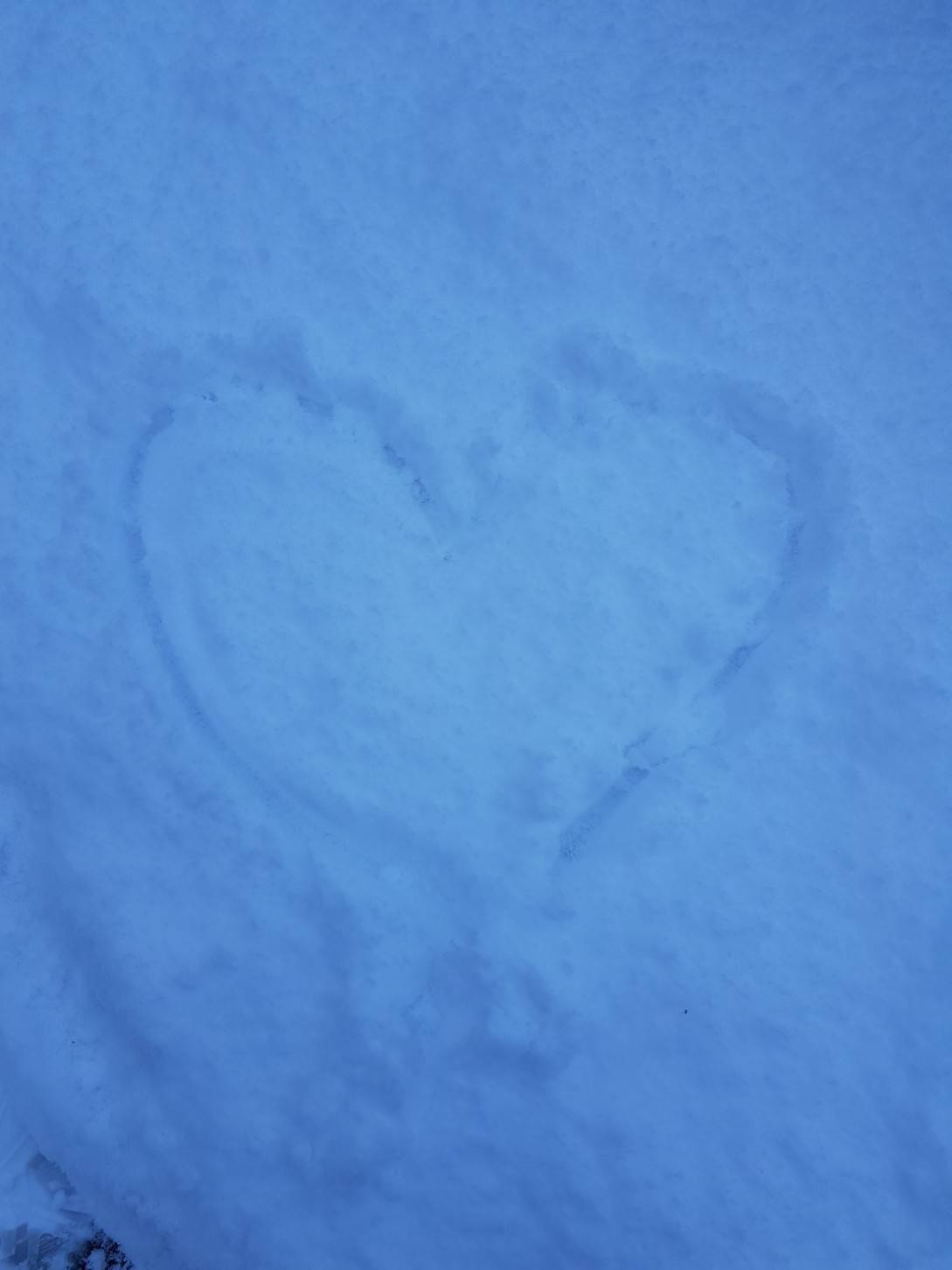 72퍼♡ 첫전설템♡ 그리고 셰퍼드~^~♡ 씨~익~^~^ : 리니지W-NCSOFT