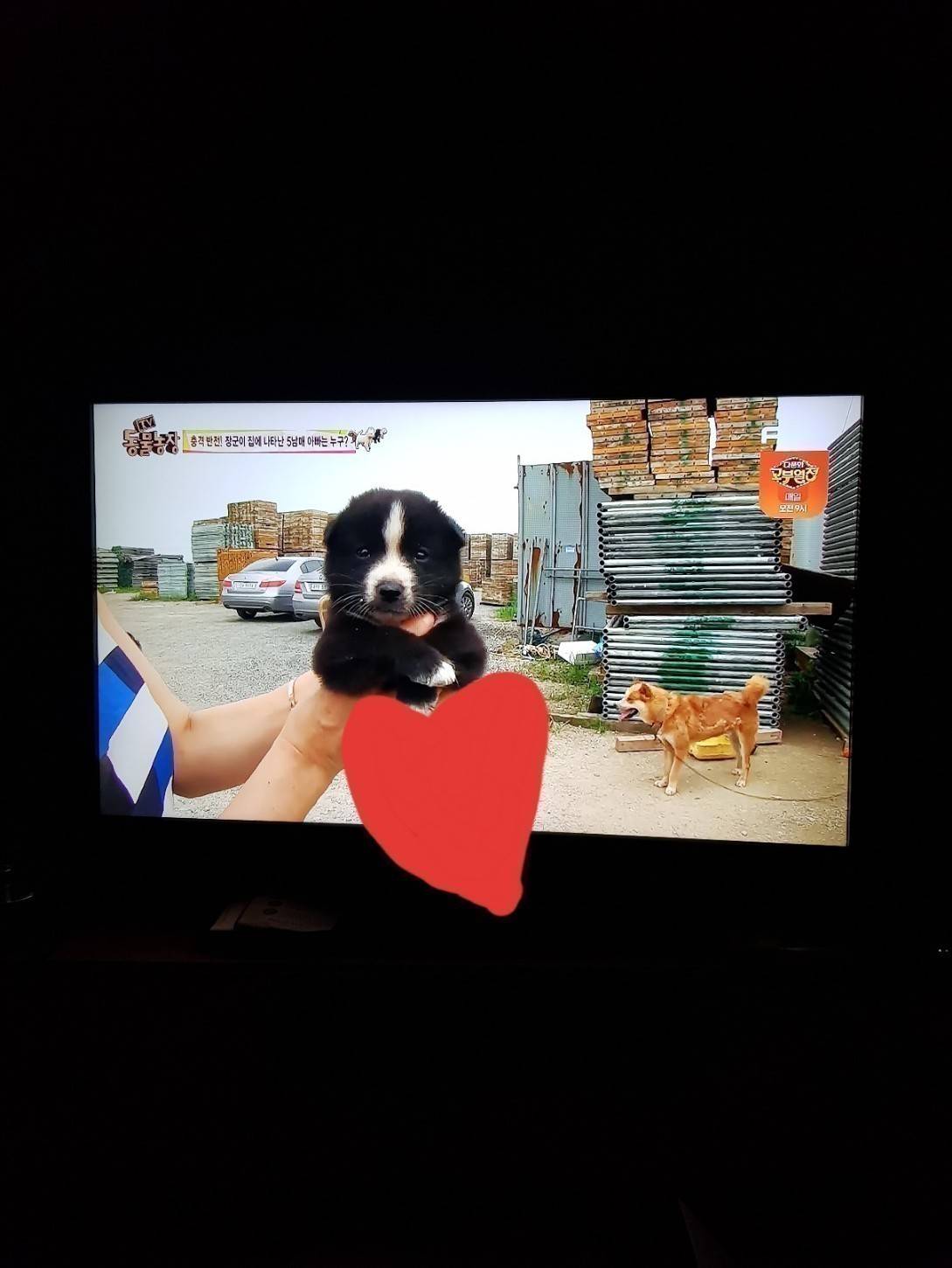 80.4퍼♡ 셰펏♡10렙♡♡ ^~^ ^~♡ : 리니지W-NCSOFT