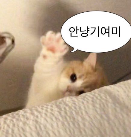 러빗미니 : 러브비트-NCSOFT