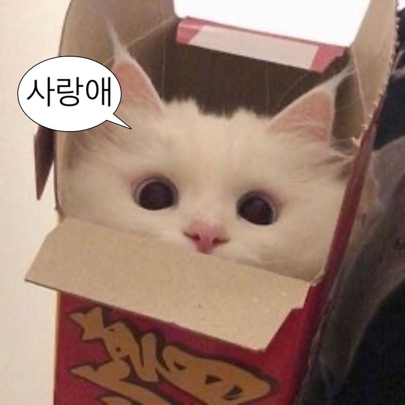 러빗미니 : 러브비트-NCSOFT