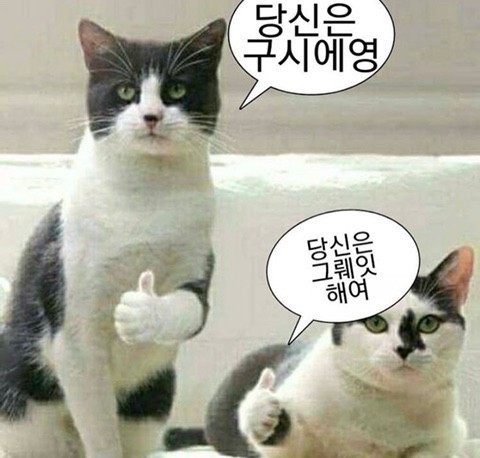 러빗미니 : 러브비트-NCSOFT