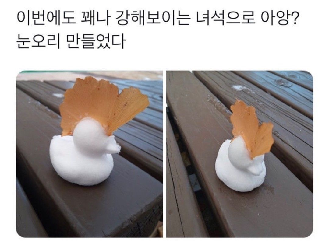 러빗미니 : 러브비트-NCSOFT