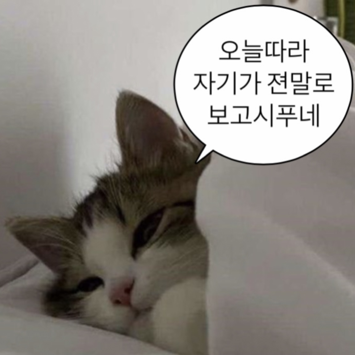 러빗 미니 : 러브비트 – NCSOFT