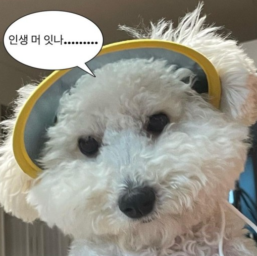 러빗 미니 : 러브비트 – NCSOFT