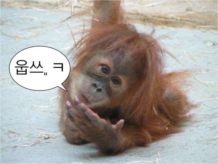 러빗 미니 : 러브비트 – NCSOFT