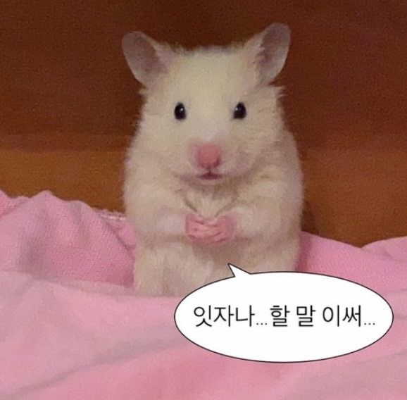 러빗 미니 : 러브비트 – NCSOFT