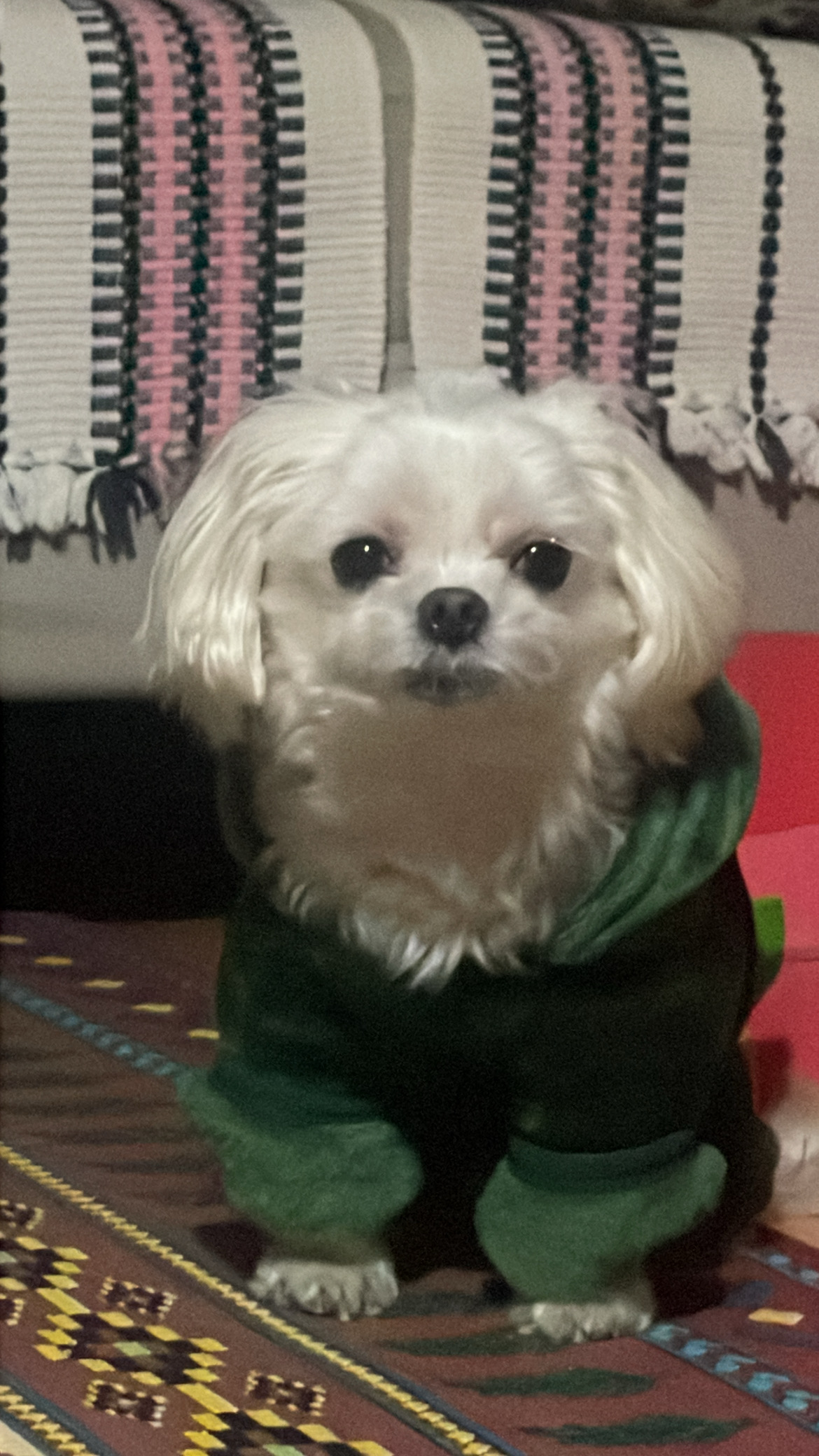 러빗 미니 : 러브비트 – NCSOFT