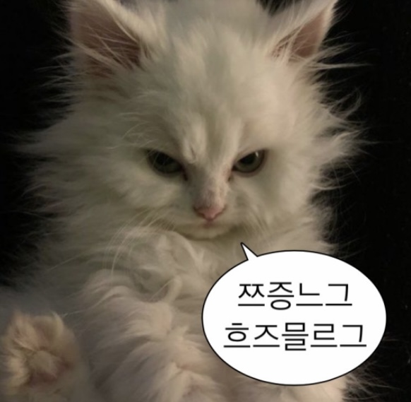 러빗미니 : 러브비트-NCSOFT