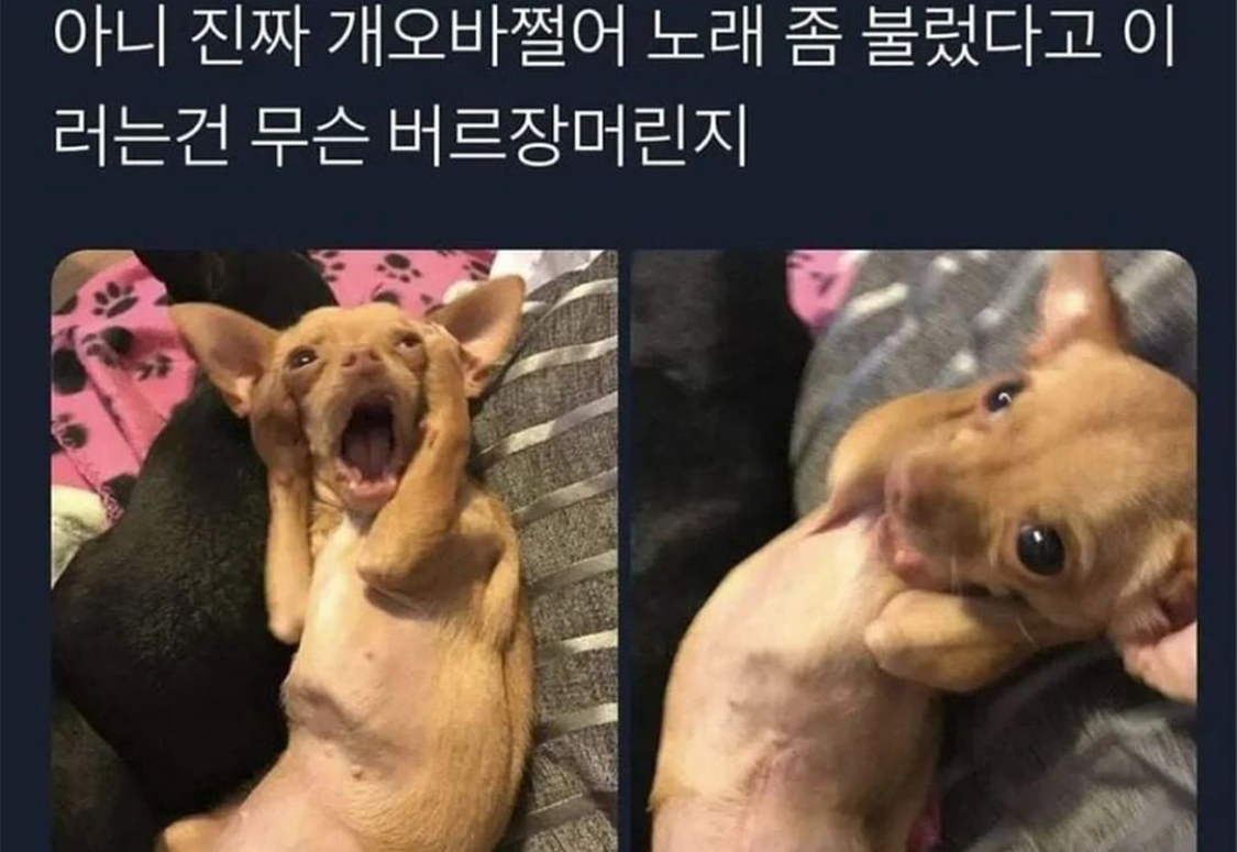 러빗 미니 : 러브비트 – NCSOFT