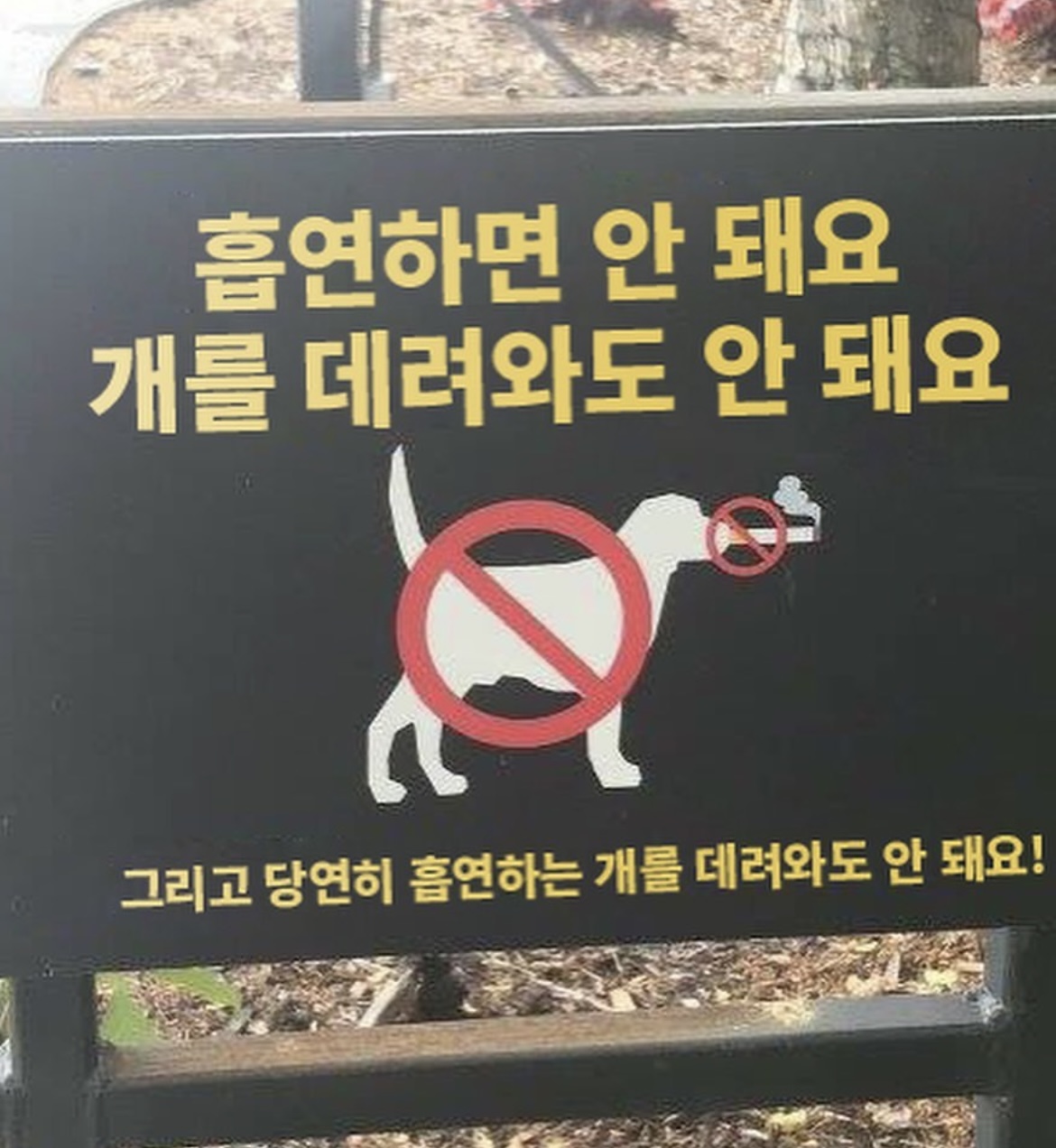 러빗미니 : 러브비트-NCSOFT