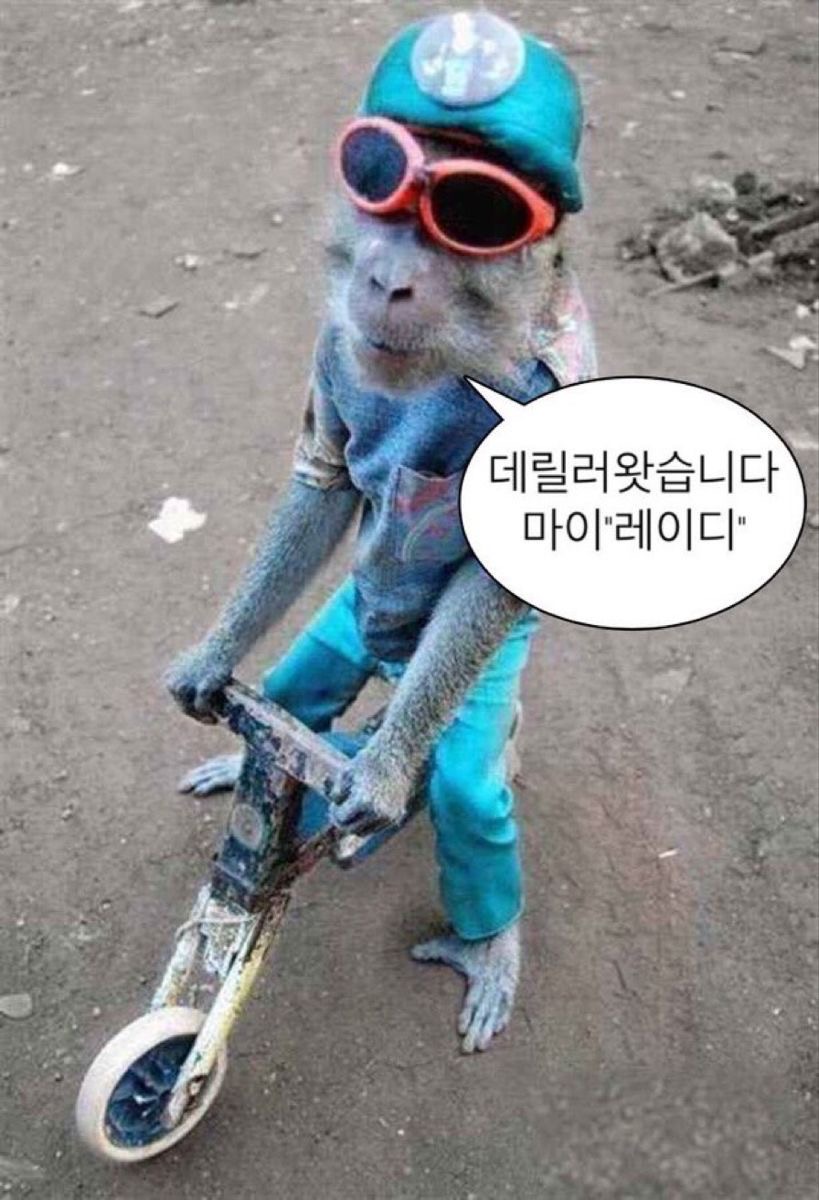 러빗미니 : 러브비트-NCSOFT