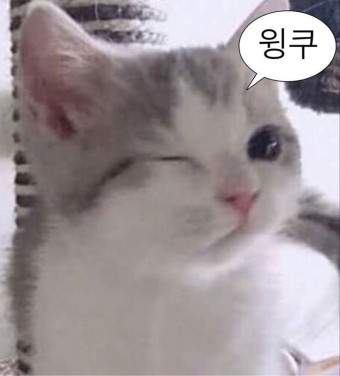 러빗미니 : 러브비트-NCSOFT