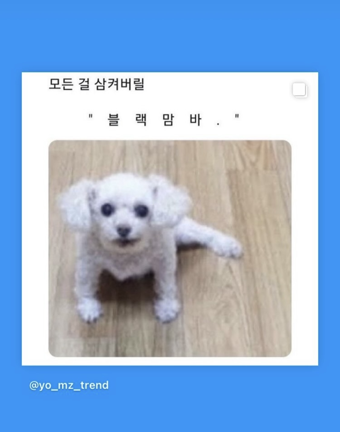 러빗미니 : 러브비트-NCSOFT