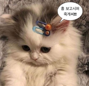 러빗미니 : 러브비트-NCSOFT