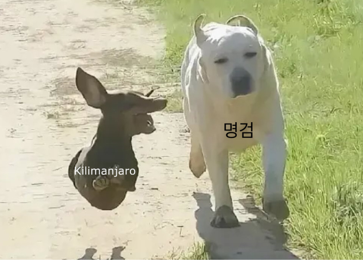 러빗미니 : 러브비트-NCSOFT