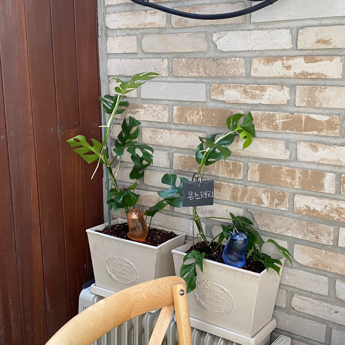 러빗미니 : 러브비트-NCSOFT