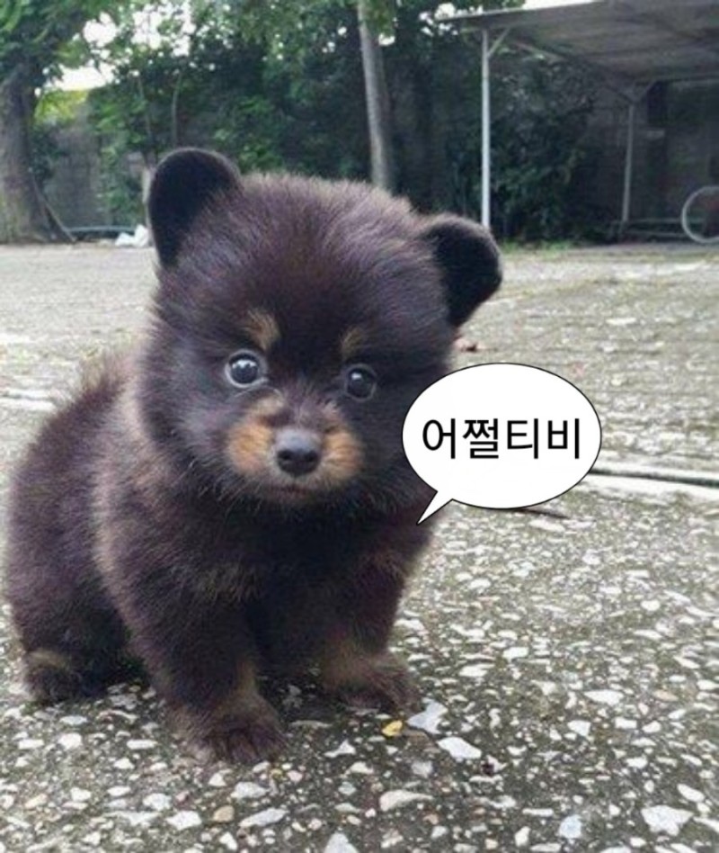 러빗미니 : 러브비트-NCSOFT