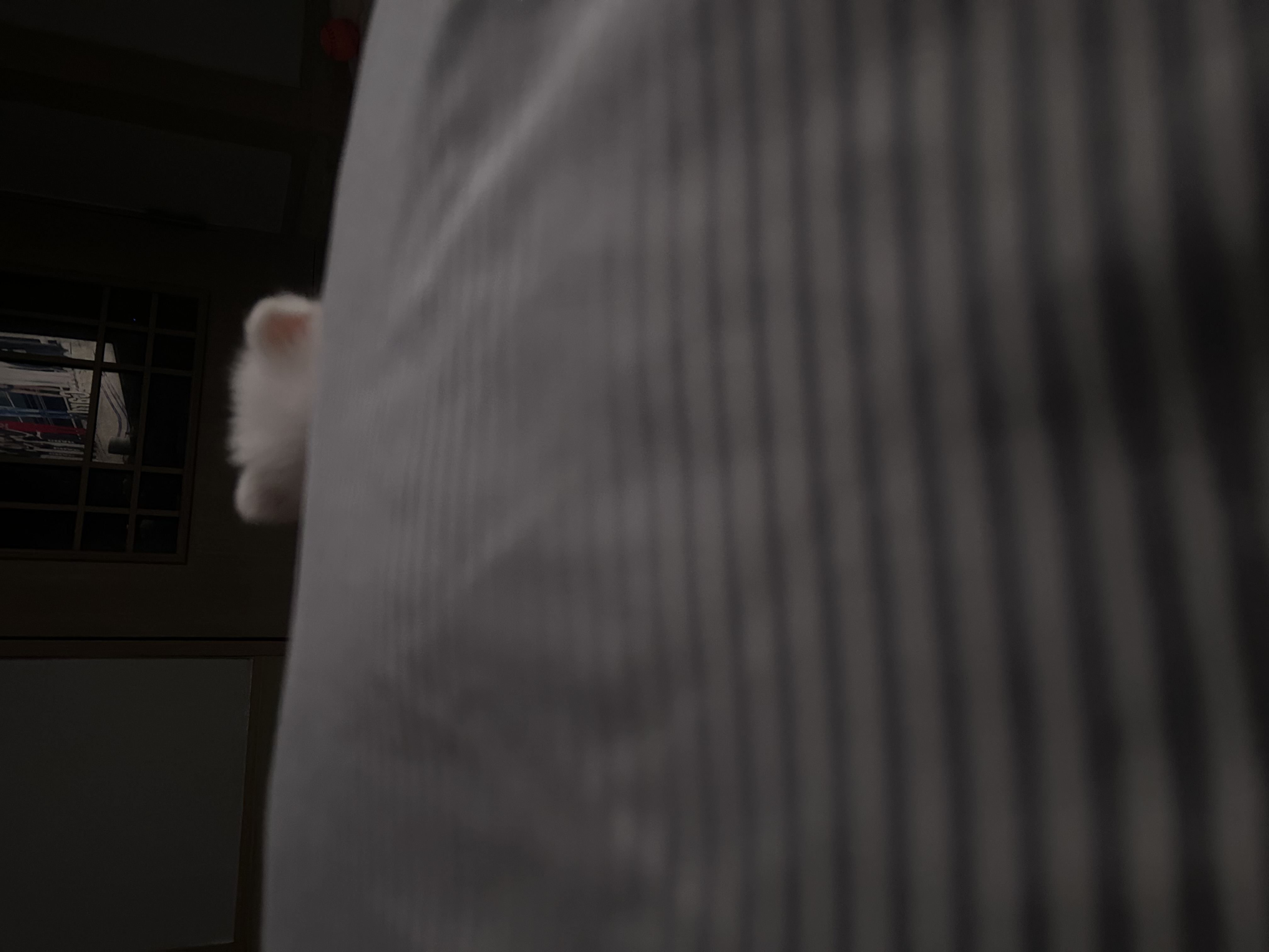 러빗미니 : 러브비트-NCSOFT