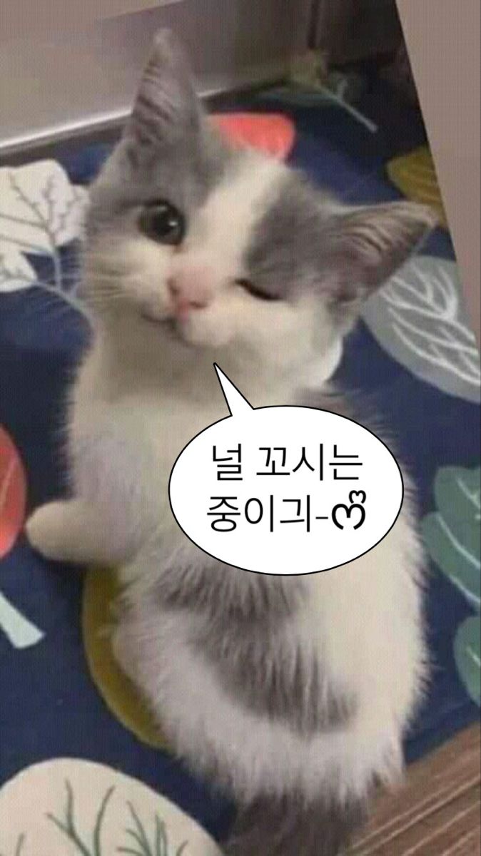 러빗미니 : 러브비트-NCSOFT