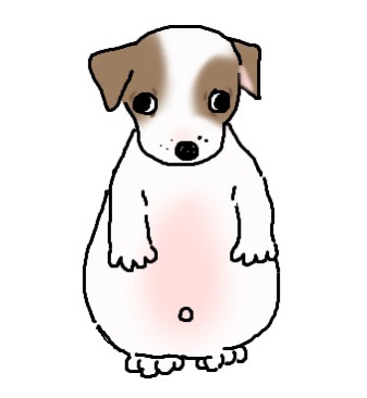 러빗미니 : 러브비트-NCSOFT