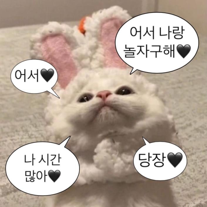 러빗미니 : 러브비트-NCSOFT