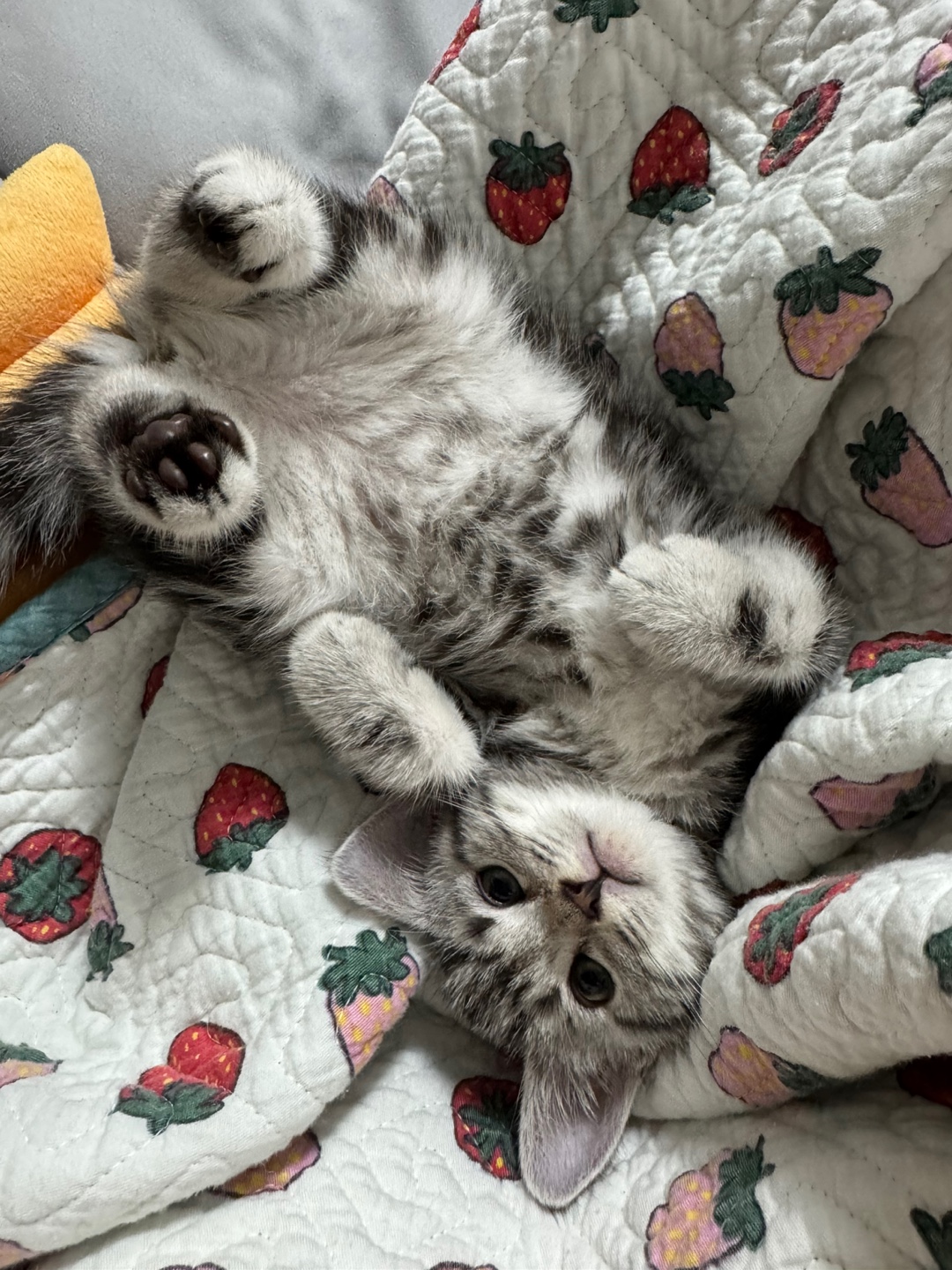 러빗미니 : 러브비트-NCSOFT