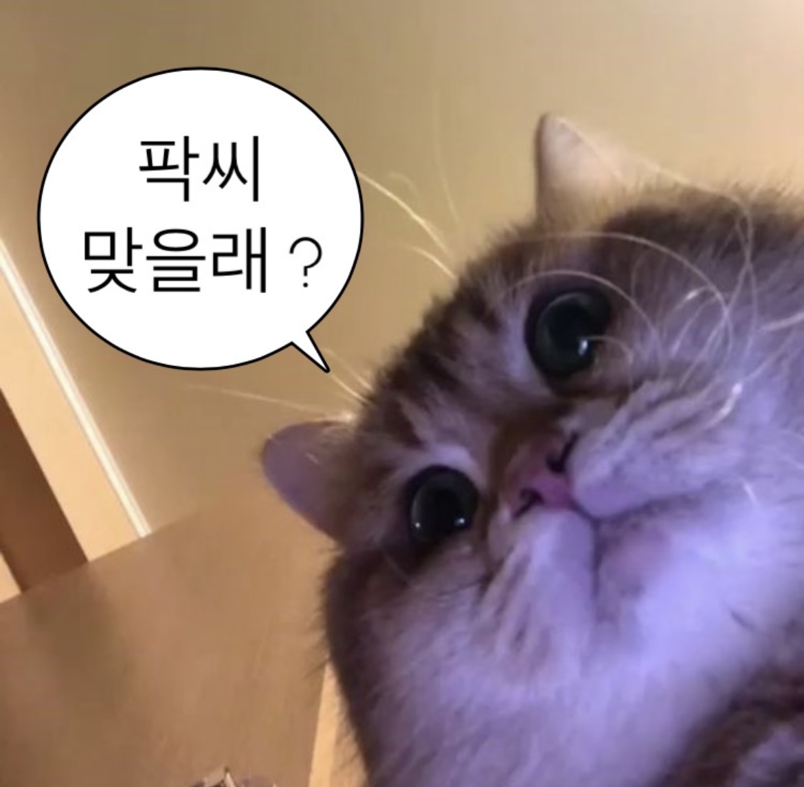 러빗미니 : 러브비트-NCSOFT