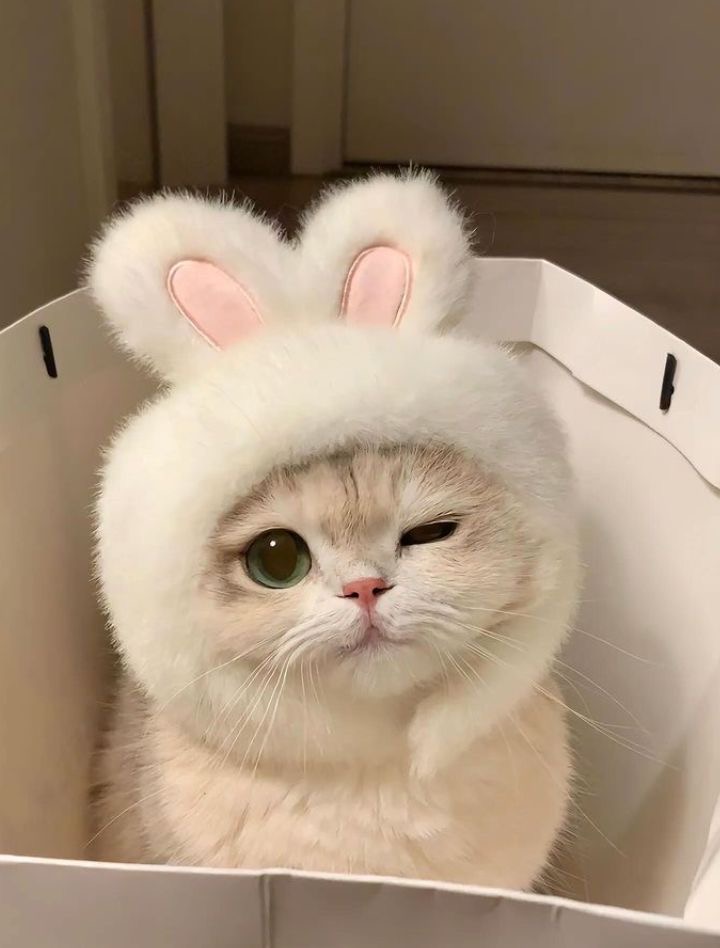 러빗미니 : 러브비트-NCSOFT