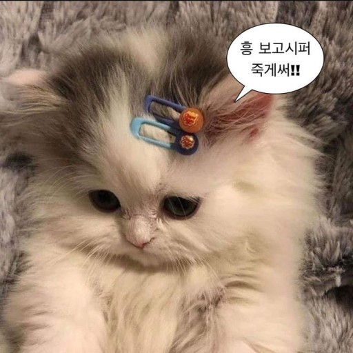 러빗미니 : 러브비트-NCSOFT