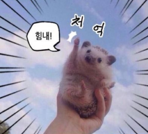 러빗미니 : 러브비트-NCSOFT