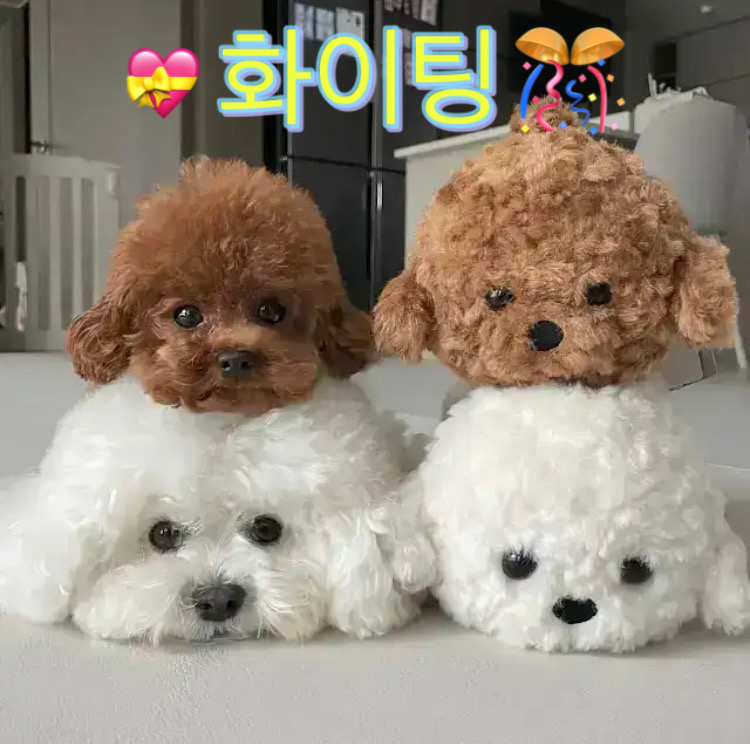 러빗미니 : 러브비트-NCSOFT